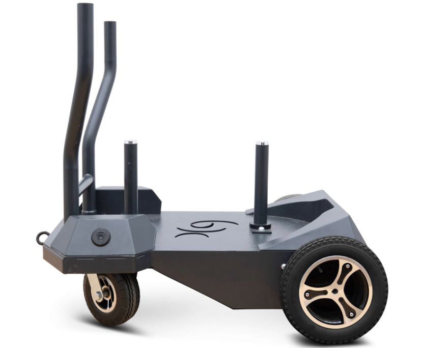 Smart Sled Pro — FROGSHOP